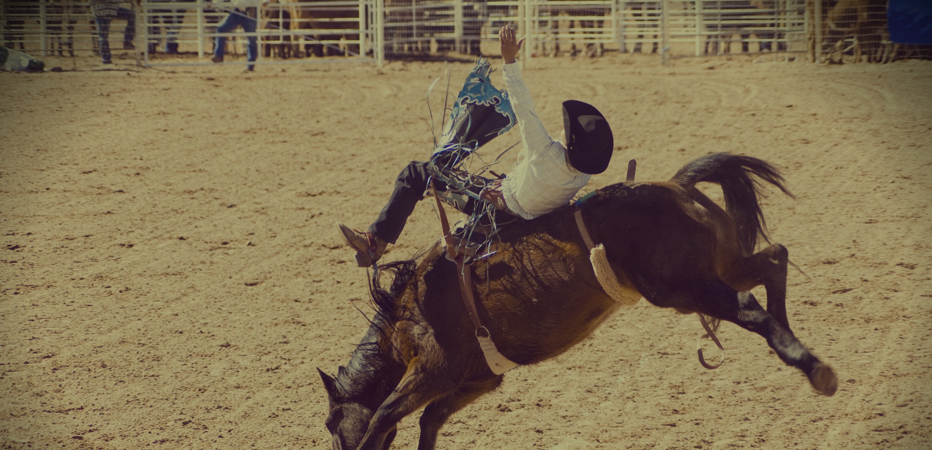 Coleman Rodeo